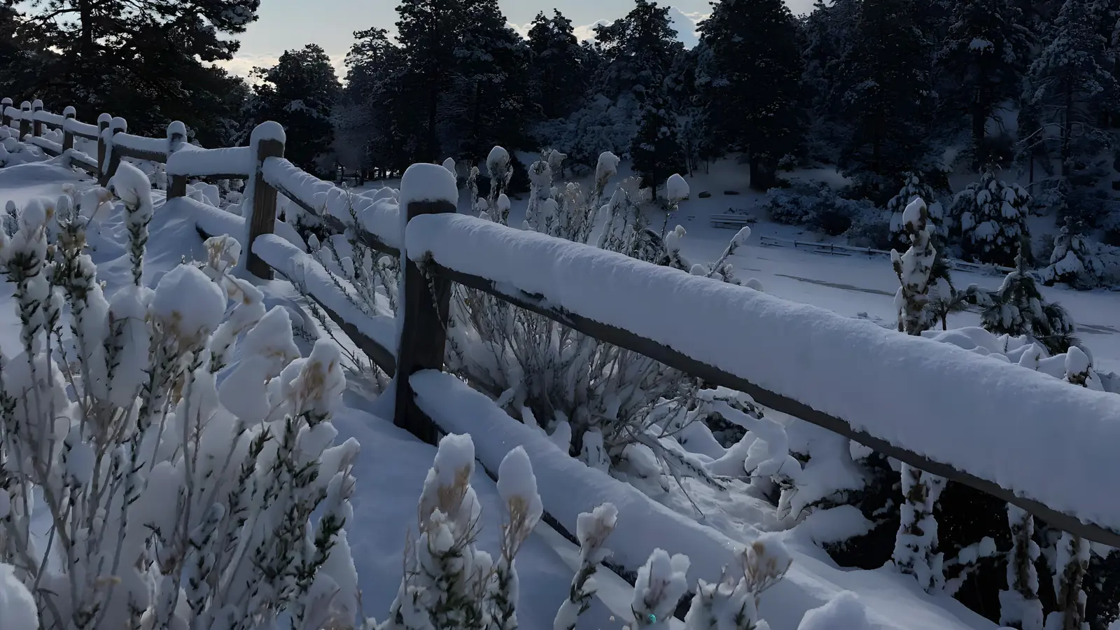 Hualapai Mountain Park | Mohave County Parks