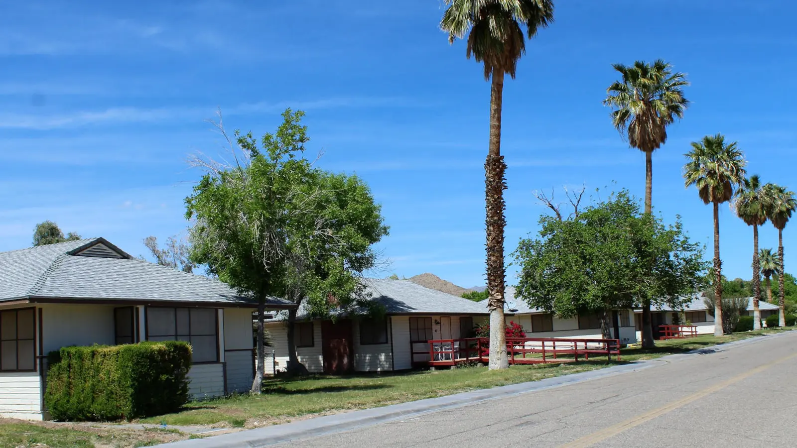 Davis Camp | Mohave County Parks