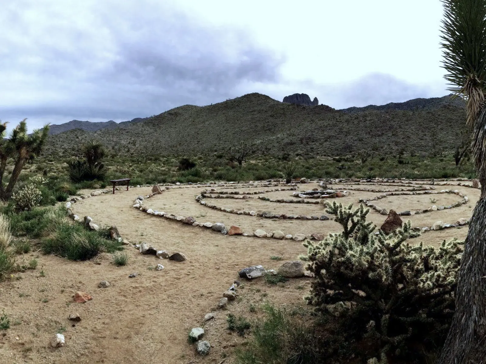 Dolan Springs Hiking Trails | Mohave County Parks