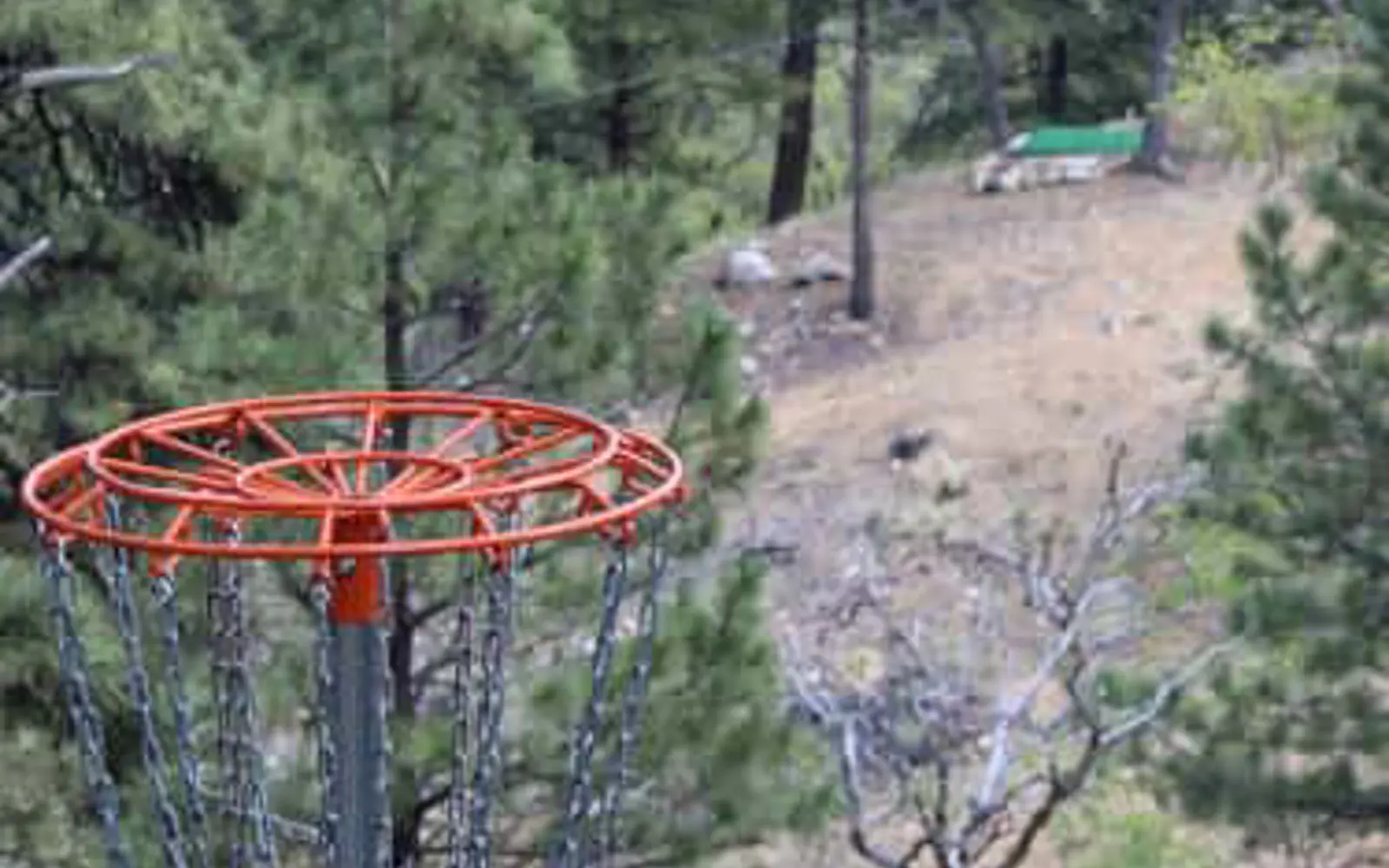 Disc Golf | Mohave County Parks