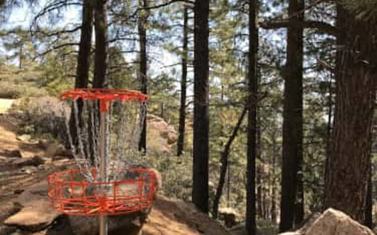 Disc Golf | Mohave County Parks