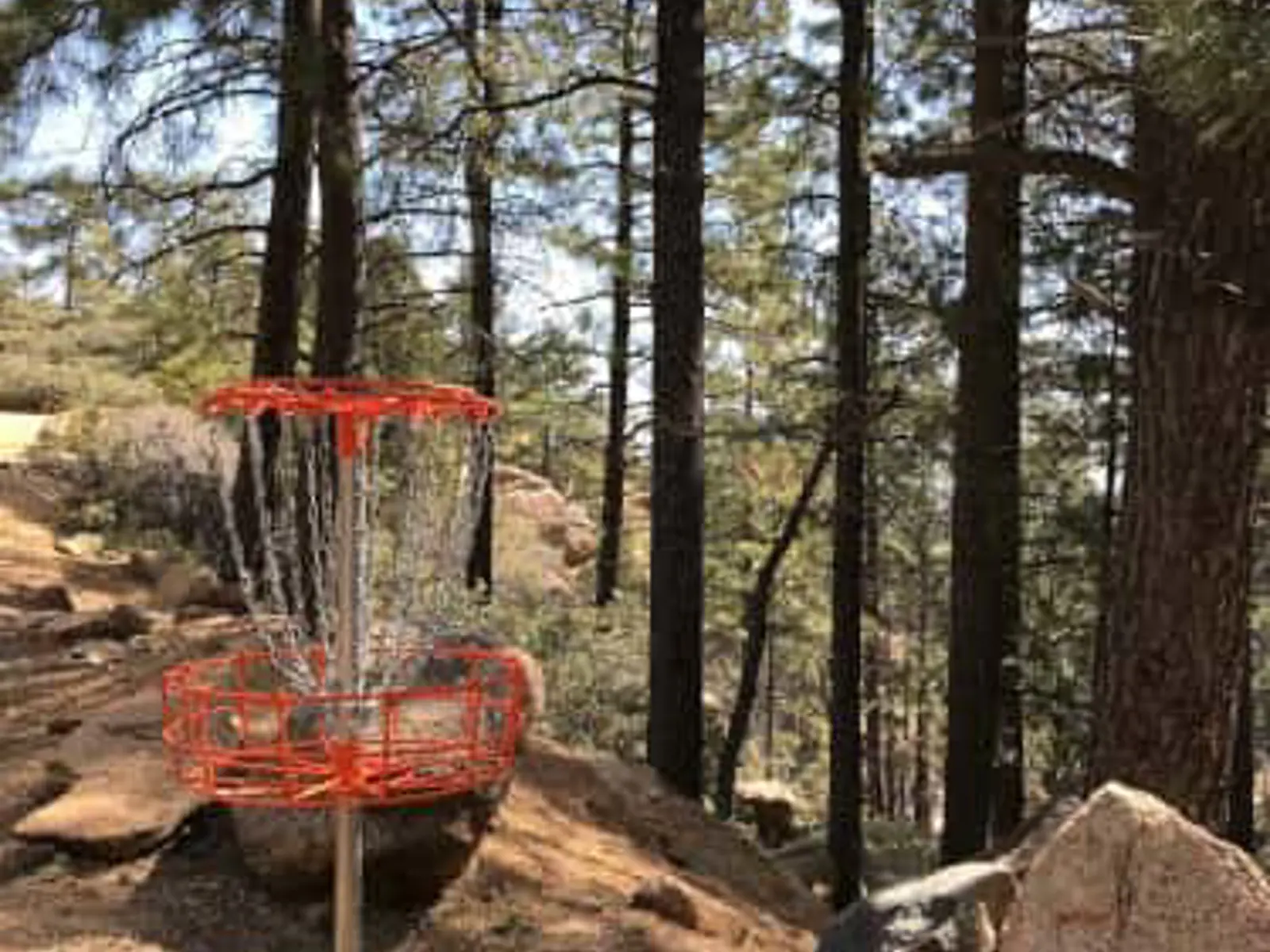 Hualapai Mountain Park | Mohave County Parks